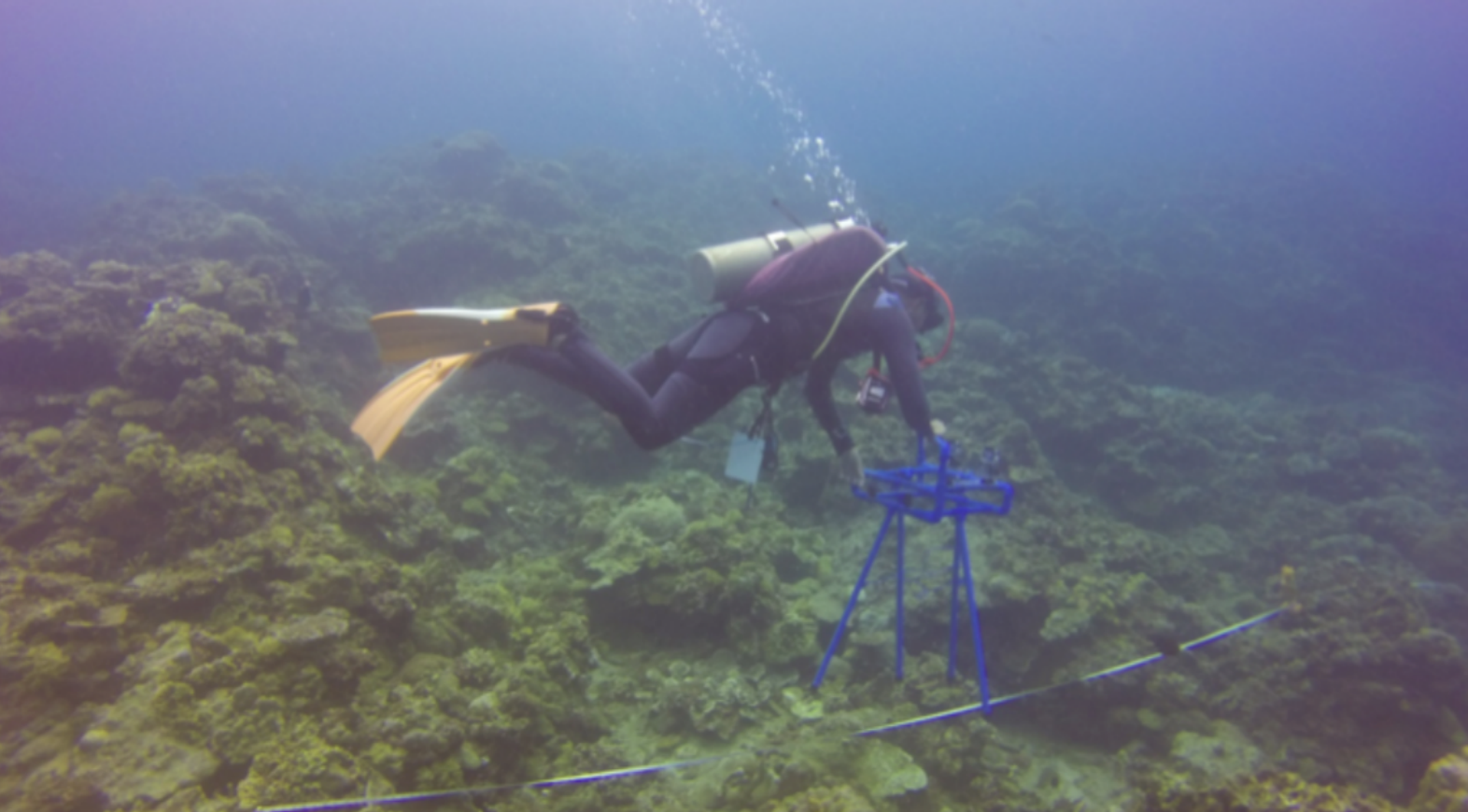 UP scientists invent semi-automated fish monitoring device – UP Alumni ...