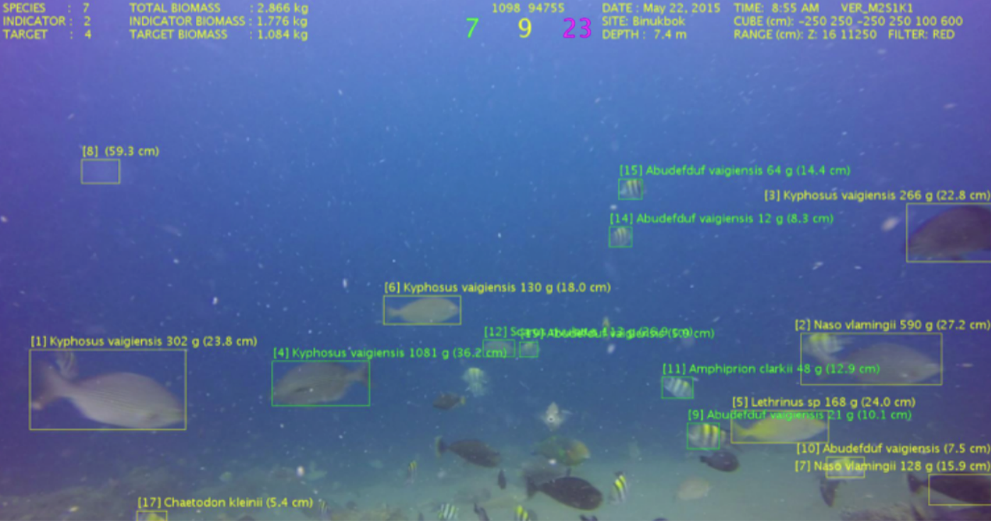 UP scientists invent semi-automated fish monitoring device – UP Alumni ...