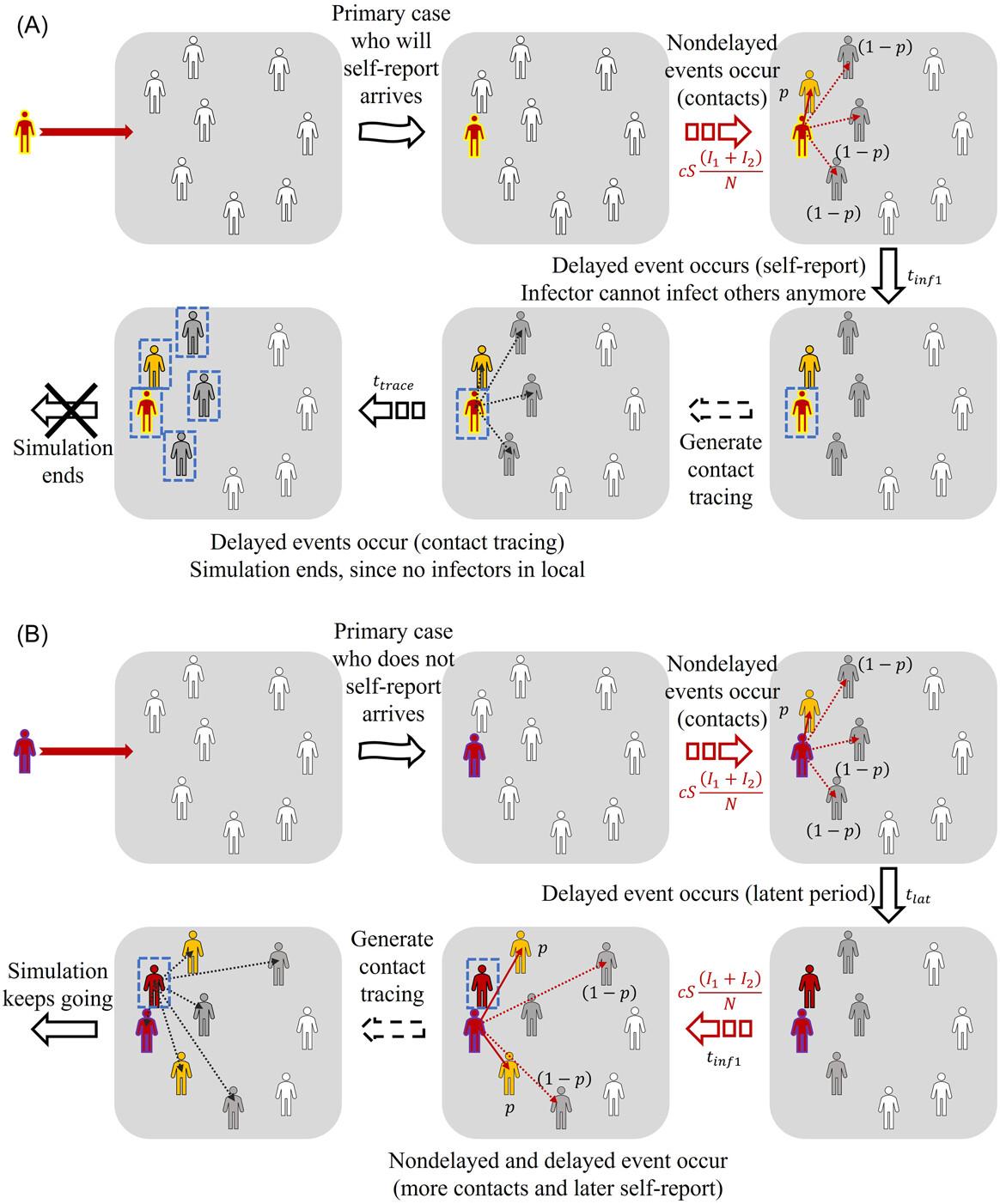 UP Mathematicians Develop Algorithm to Simulate Monkeypox Spread and ...